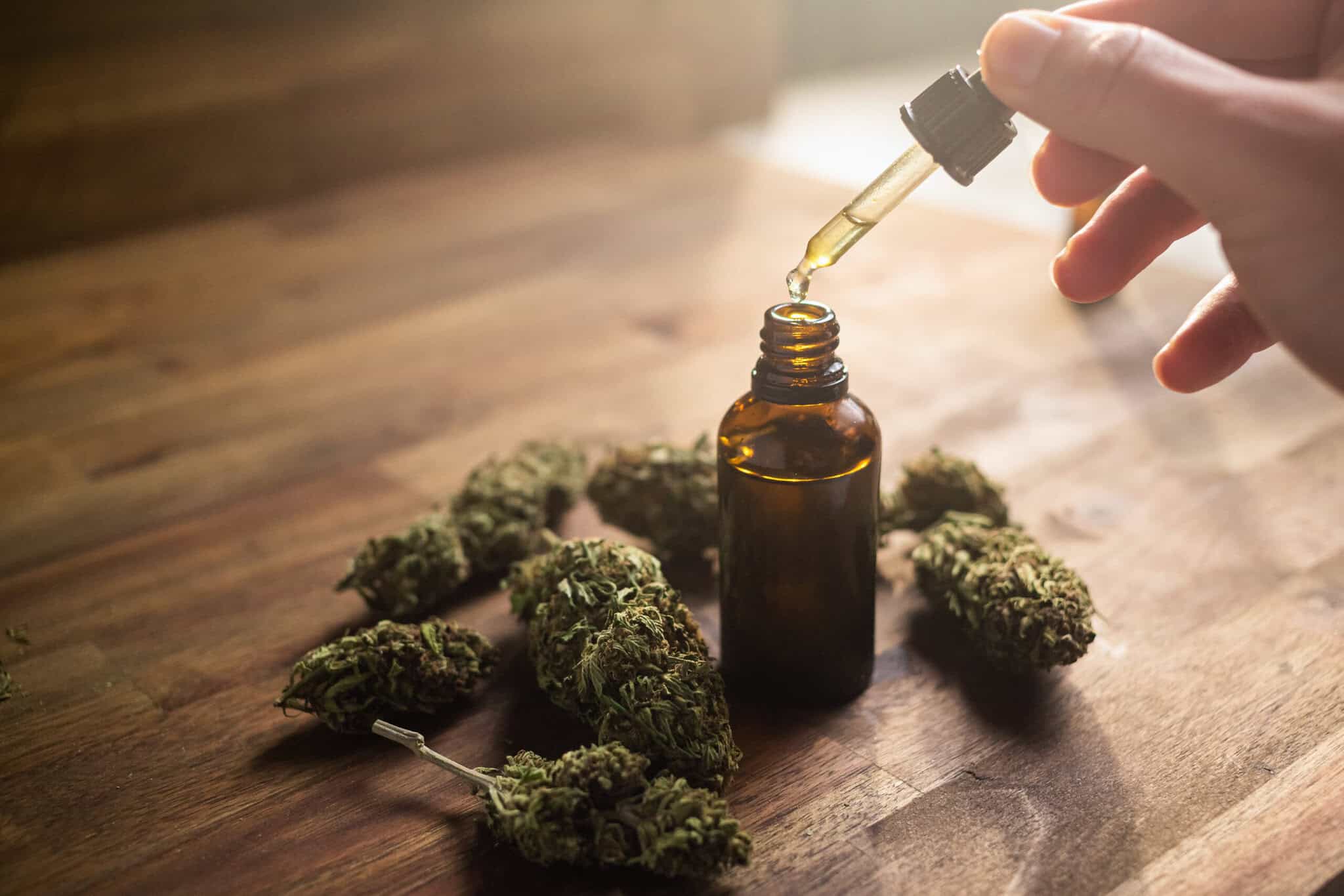 How to Make a Cannabis Tincture at Home (Step-by-Step Guide)